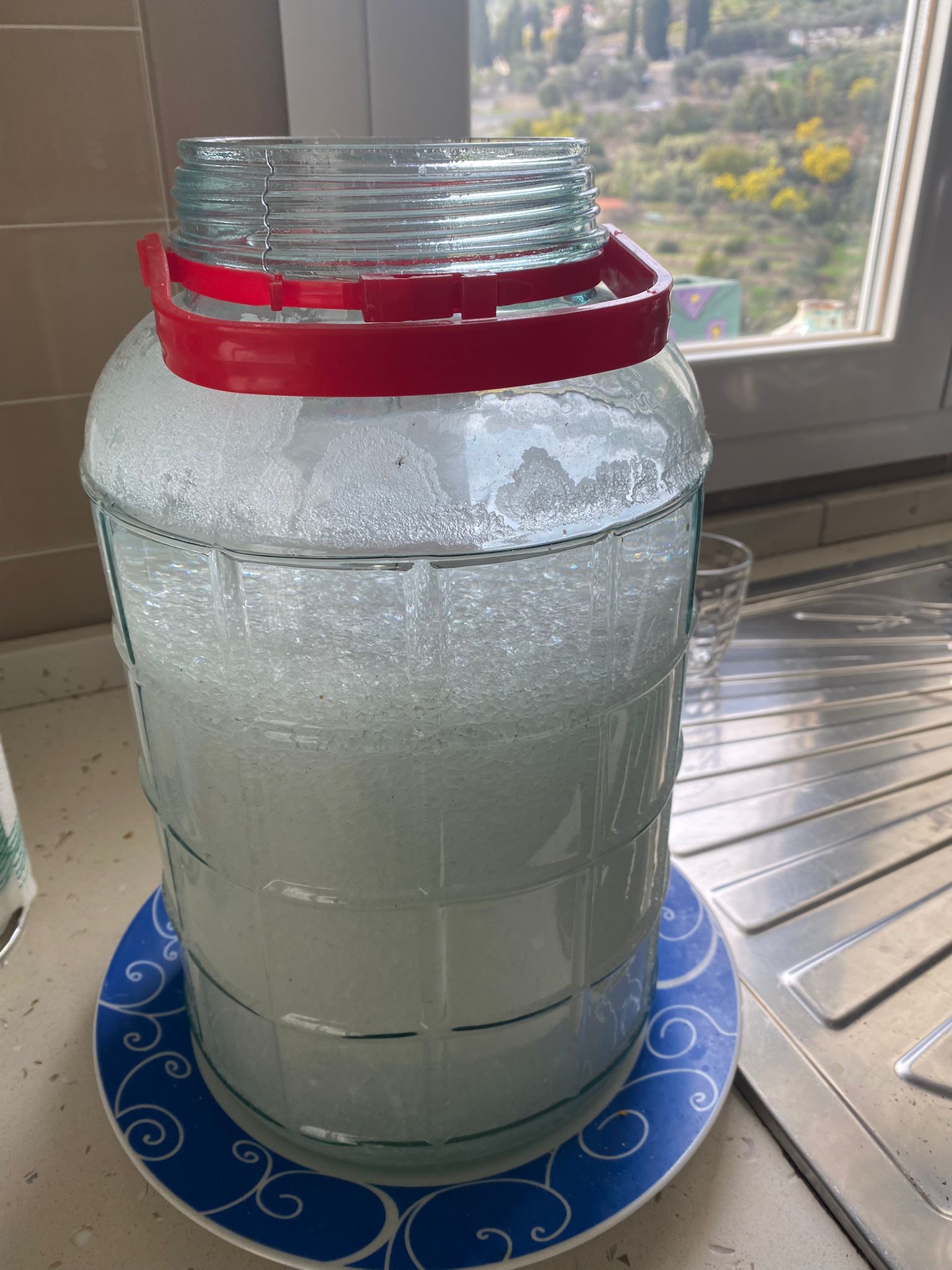 Salt Water Cure - Fengshui Village